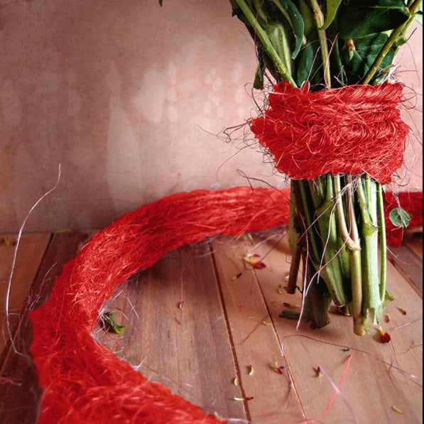 3 mm (1/8") Red Wired Sisal Rope 9.75 m (32 ft)